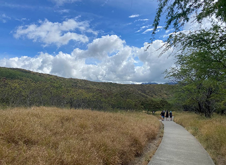 How understanding the pathways of grief after VAD can help health ...